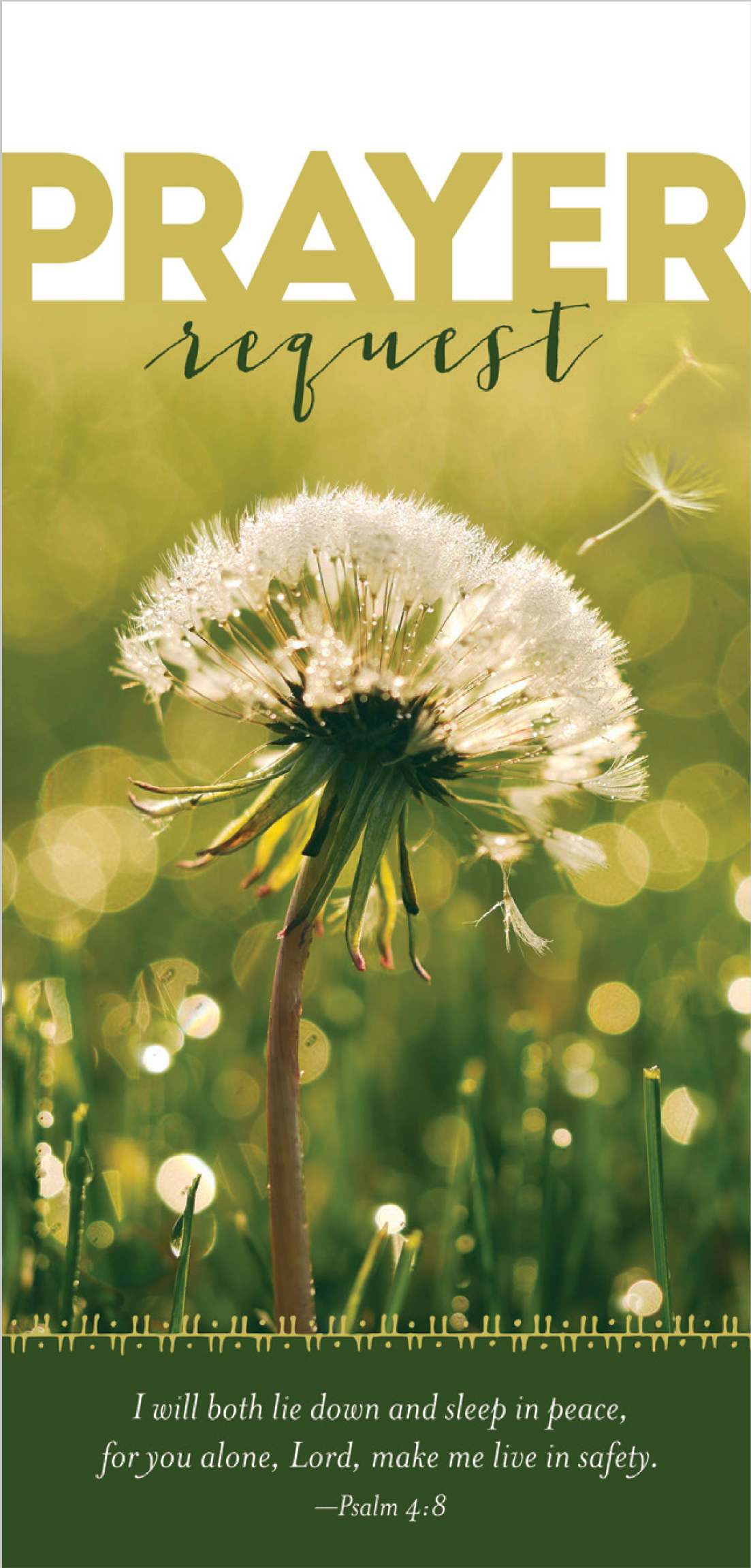 Guest Card: Prayer Request (Package of 50) | Lifeway