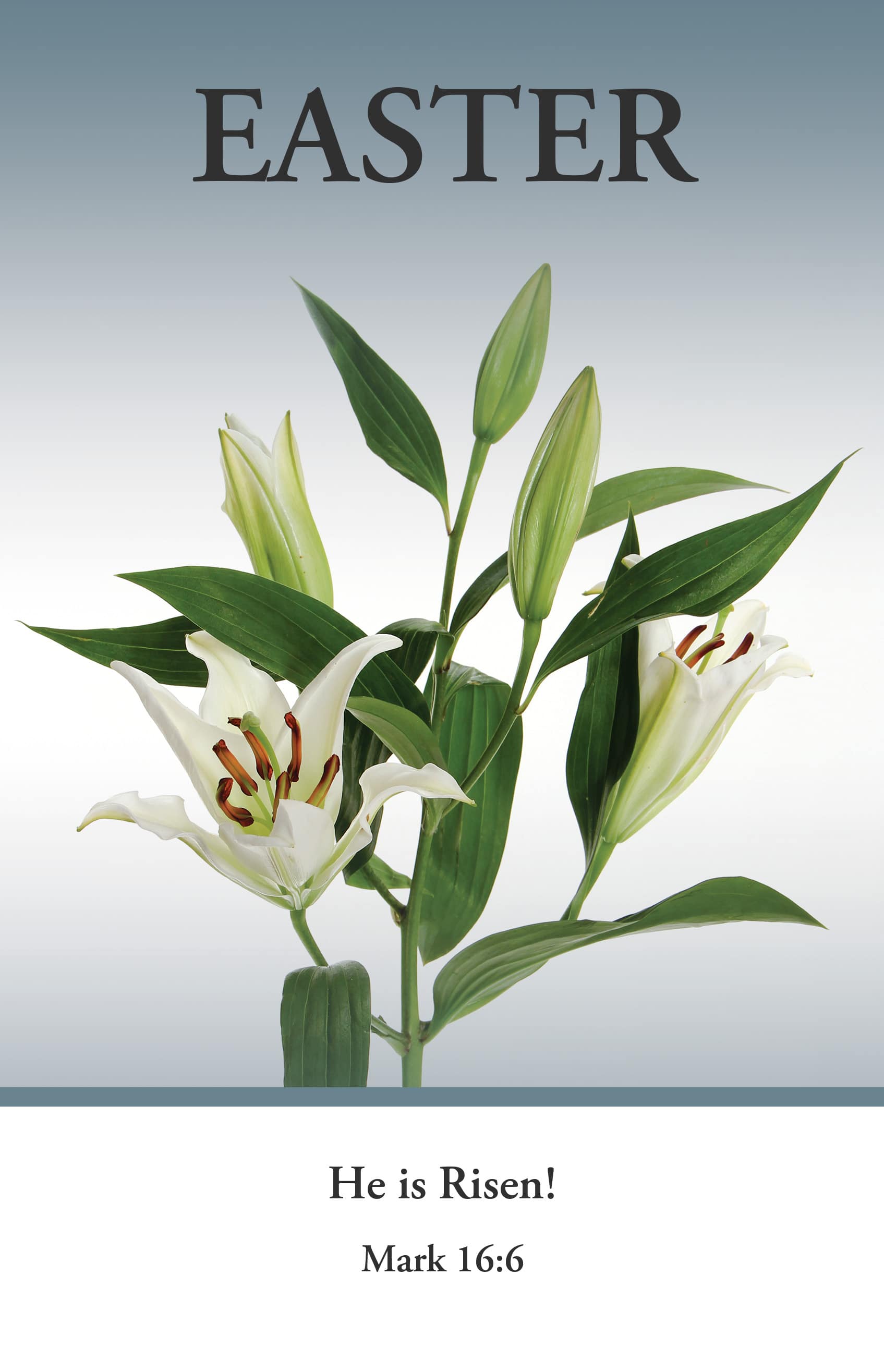 Easter Bulletin: He Is Risen (Package of 100) | Lifeway