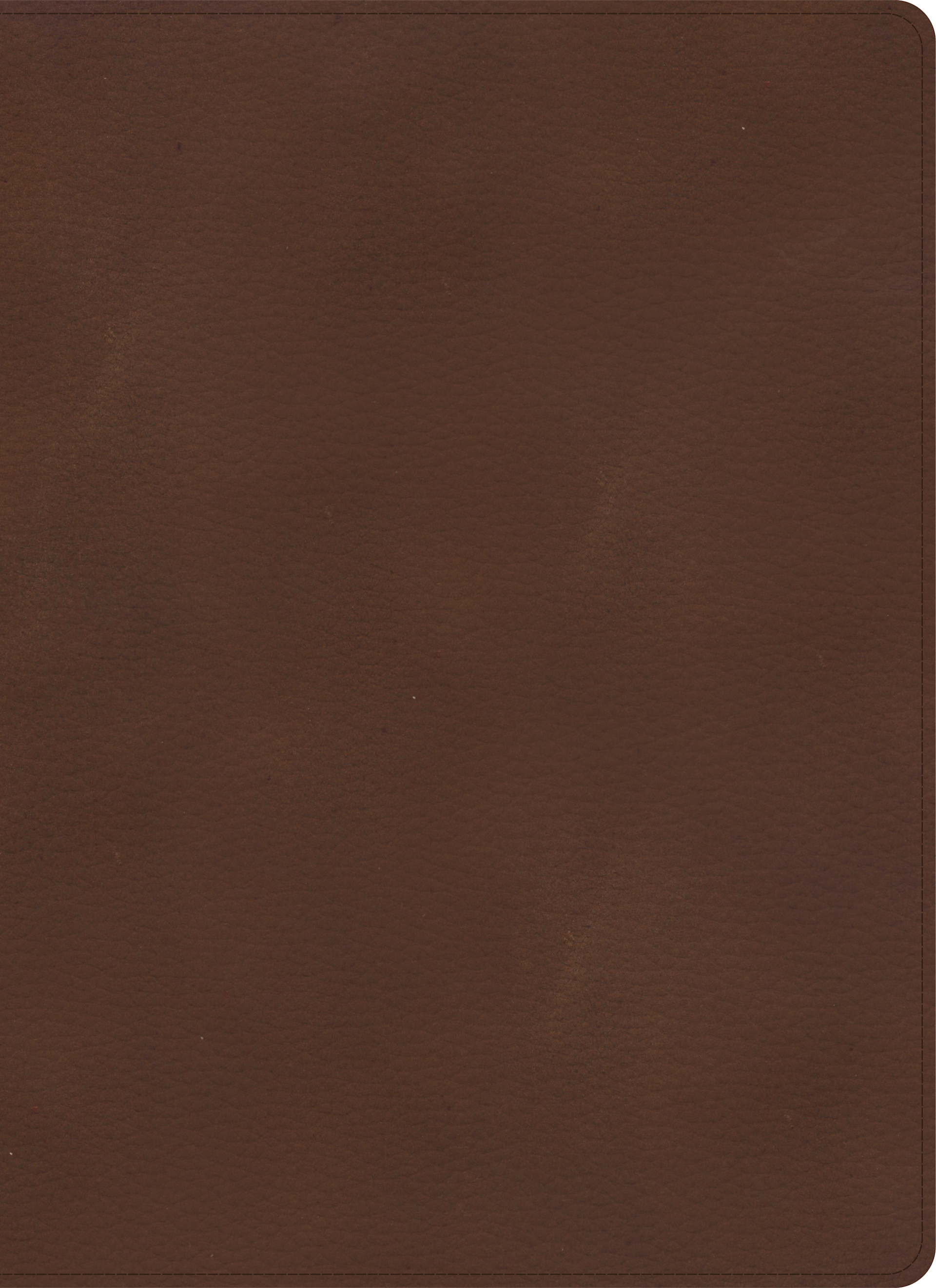 KJV Single-Column Wide-Margin Bible, Brown LeatherTouch | Lifeway