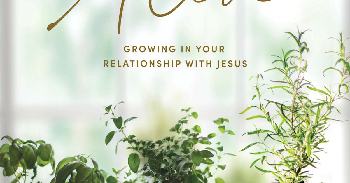 Alive Bible Study by Lifeway Women | Lifeway