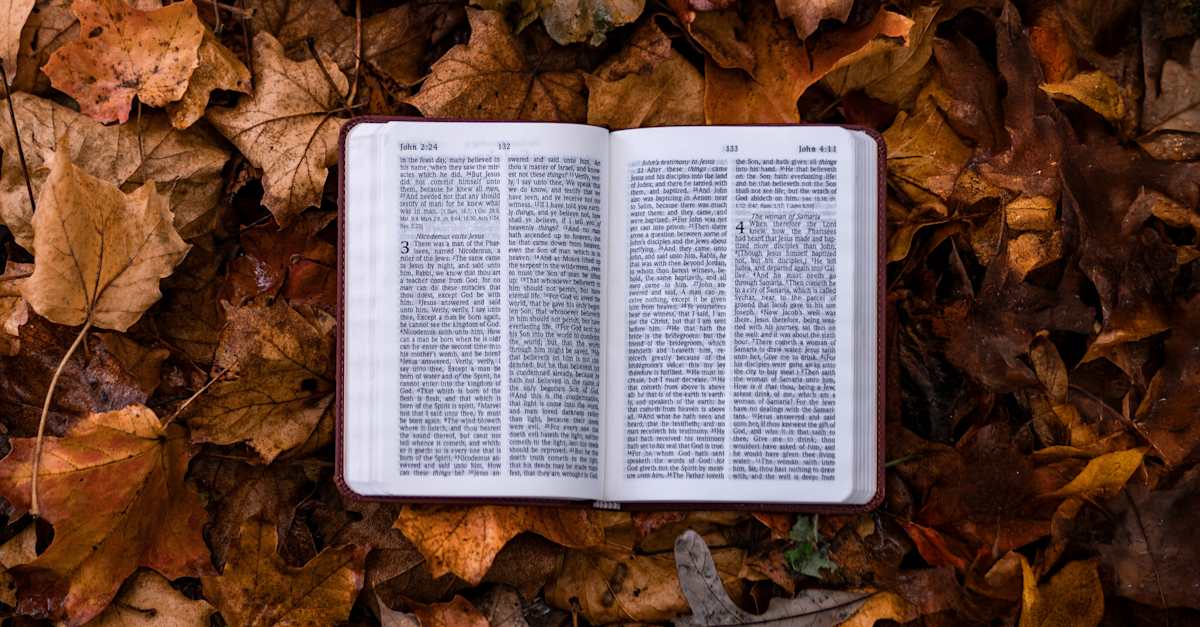 6 Bible Studies for Fall | Lifeway