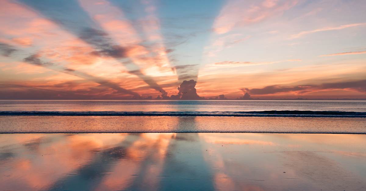 Understanding The Implications of Being Made in God's Image | Lifeway