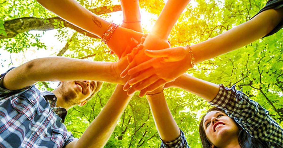 5 Ways to Pursue Peace | Lifeway