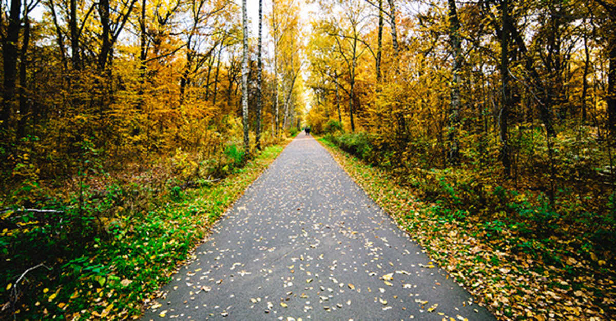 How Over-Relying on Logic Can Lead You Off the Pathway | Lifeway