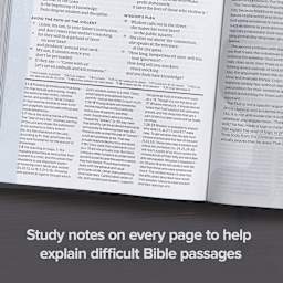 apologetics study bible