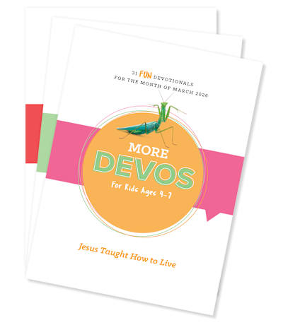 More - Spring 2026 | Lifeway