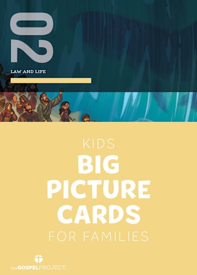 The Gospel Project for Kids: Kids Big Picture Cards - Volume 2: Law and ...