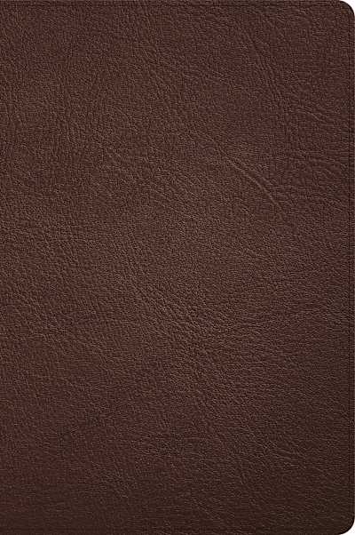 CSB Large Print Thinline Bible, Holman Handcrafted Collection, Brown ...