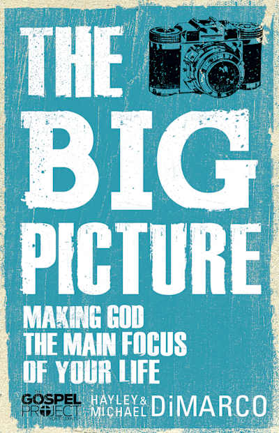eBook - The Big Picture | Lifeway