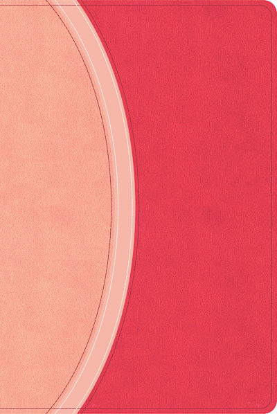 CSB Rainbow Study Bible, Pink LeatherTouch (Limited Edition) | Lifeway