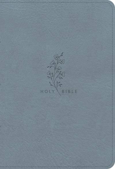 CSB Giant Print Reference Bible, Optimal Type, Digital Study Edition ...