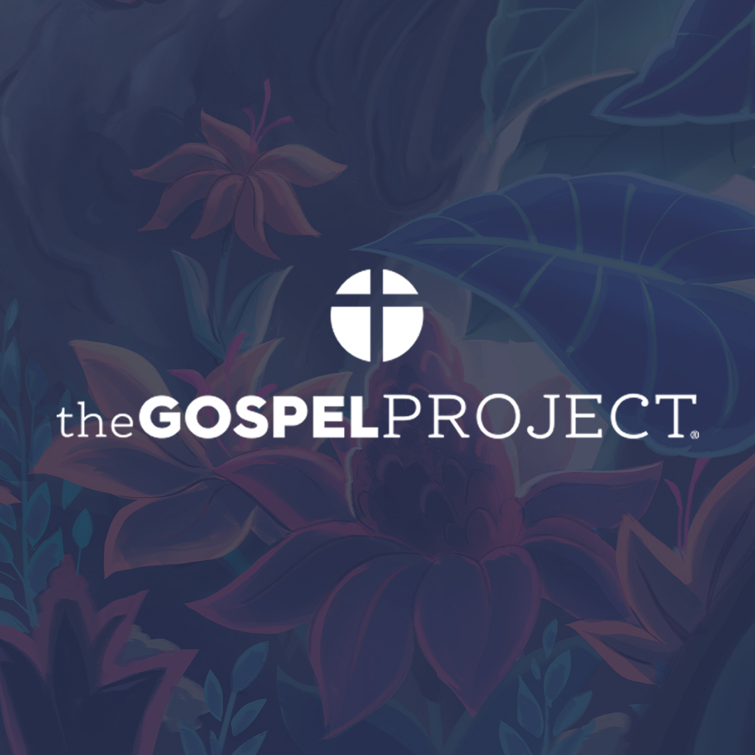Lifeway Vbs 2015 Logo Parkland United Reformed Church Vacation Bible